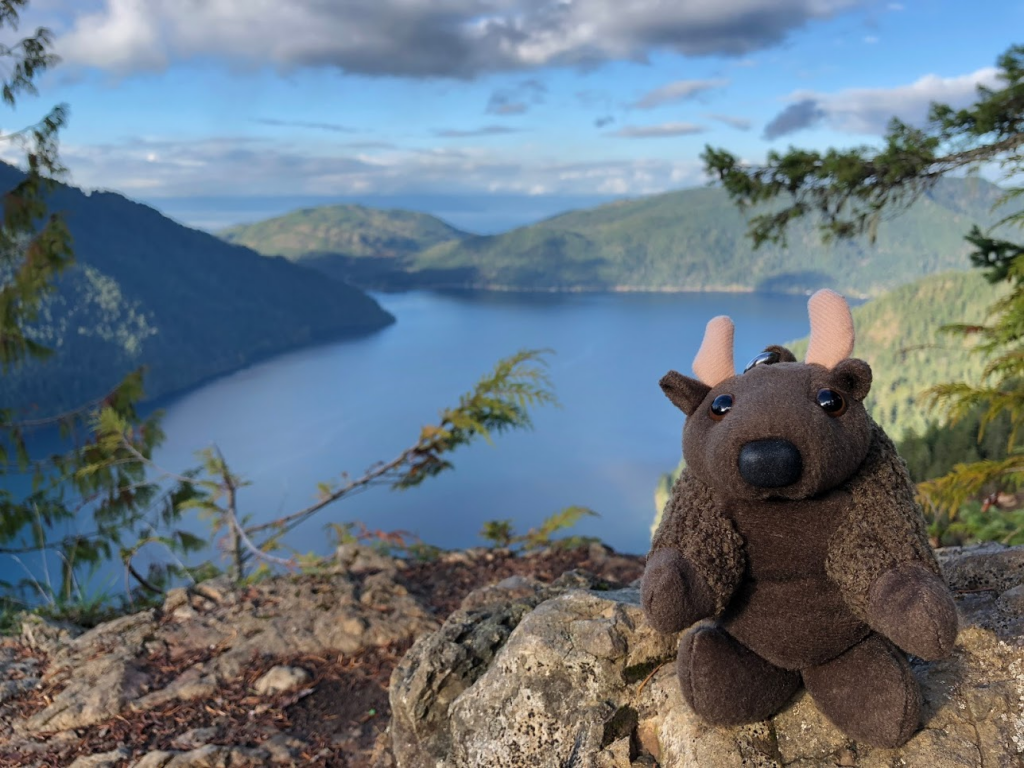 Buddy Bison - National Park Trust
