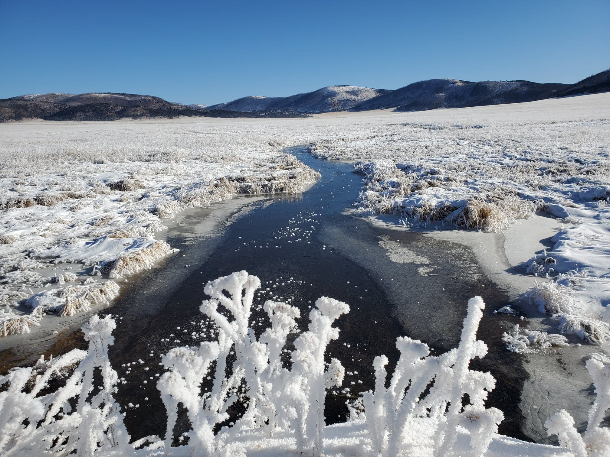 Valles Caldera National Preserve, NM - National Park Trust