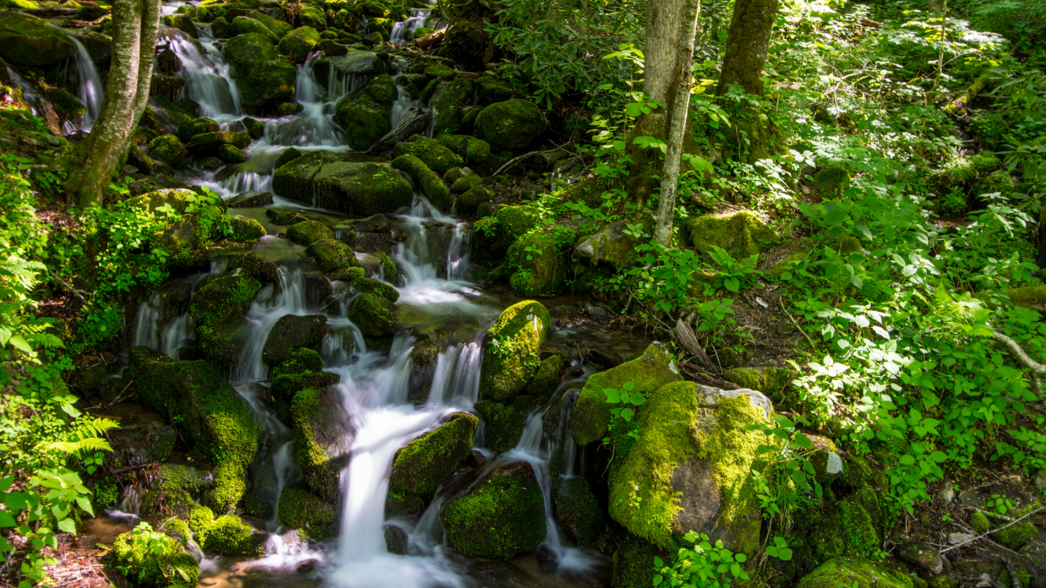 10 Incredible Waterfalls Found In National Parks - National Park Trust
