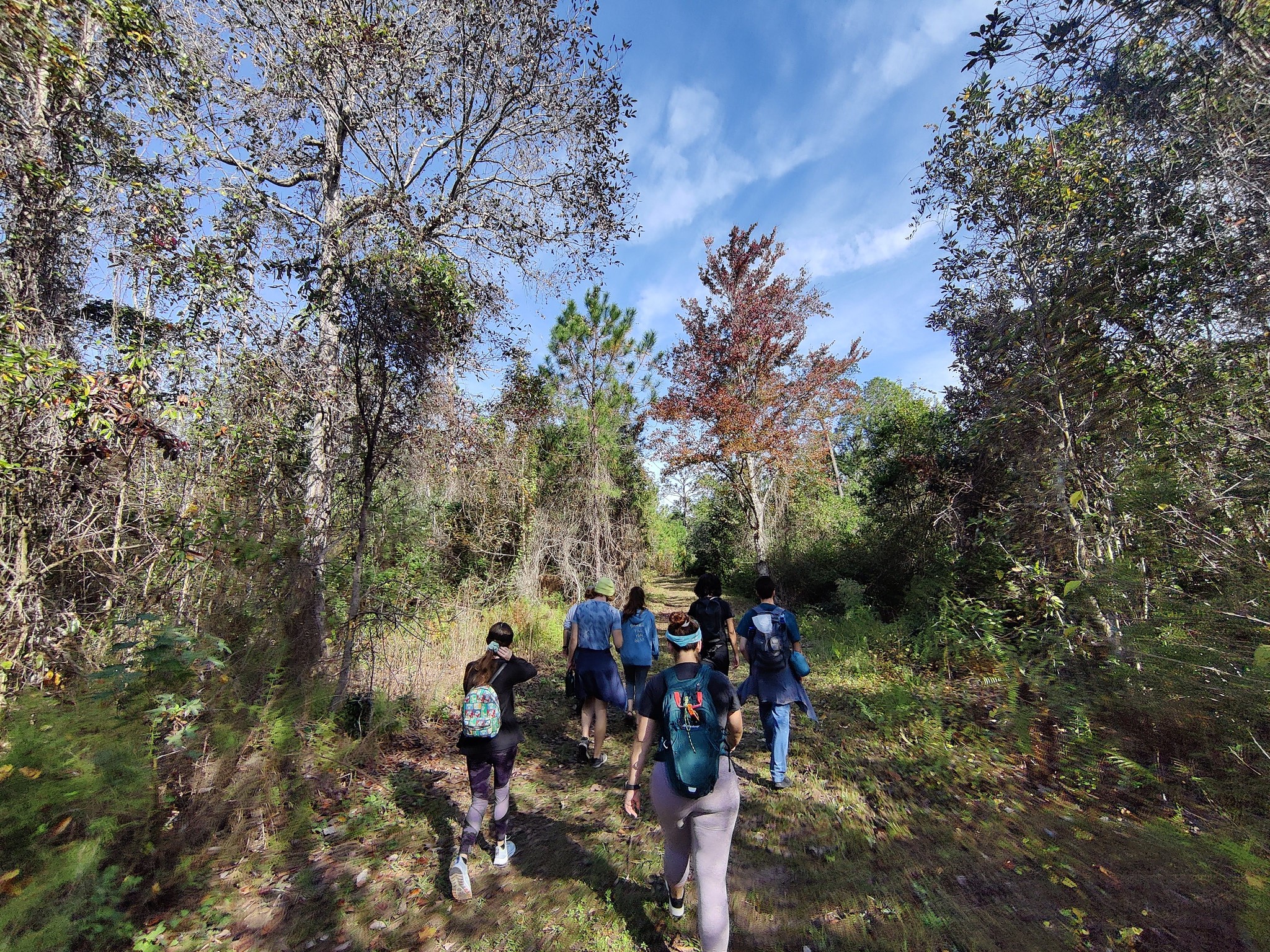 UCF College Ambassadors Take Students to UCF Arboretum for Hiking and ...