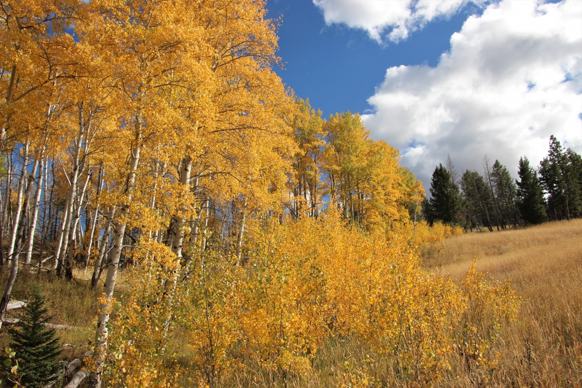 Red Rock Lakes National Wildlife Refuge, MT - National Park Trust