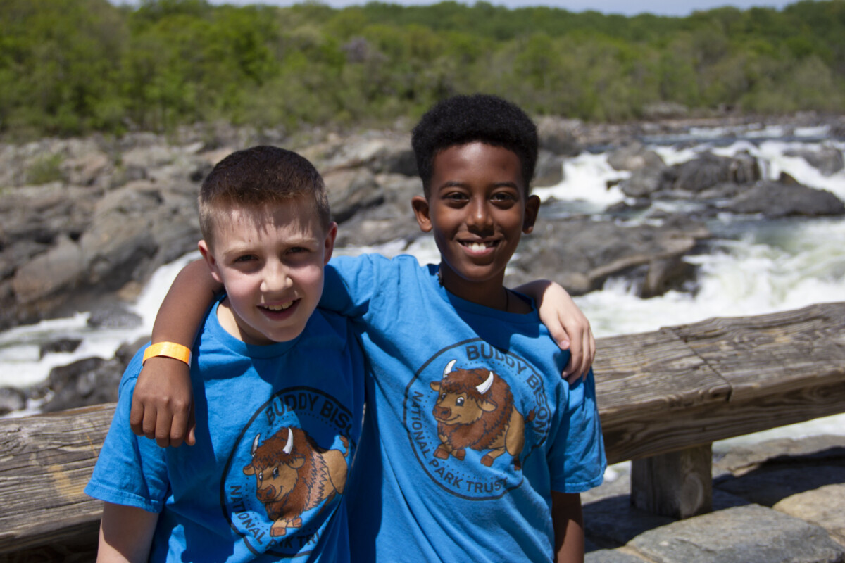 Camp Buddy Bison - National Park Trust