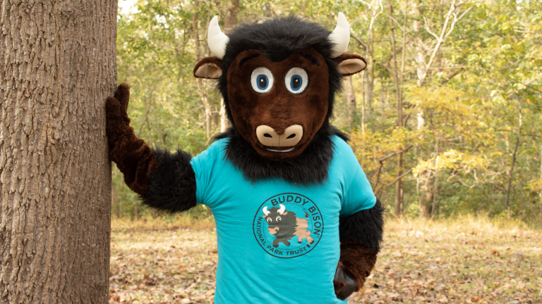 Buddy Bison School Program - National Park Trust