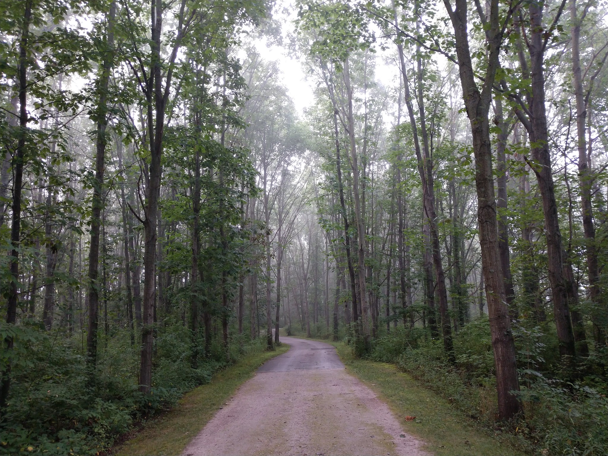 Haunting Trails and Eerie Tales: Exploring the Spooky Secrets of ...