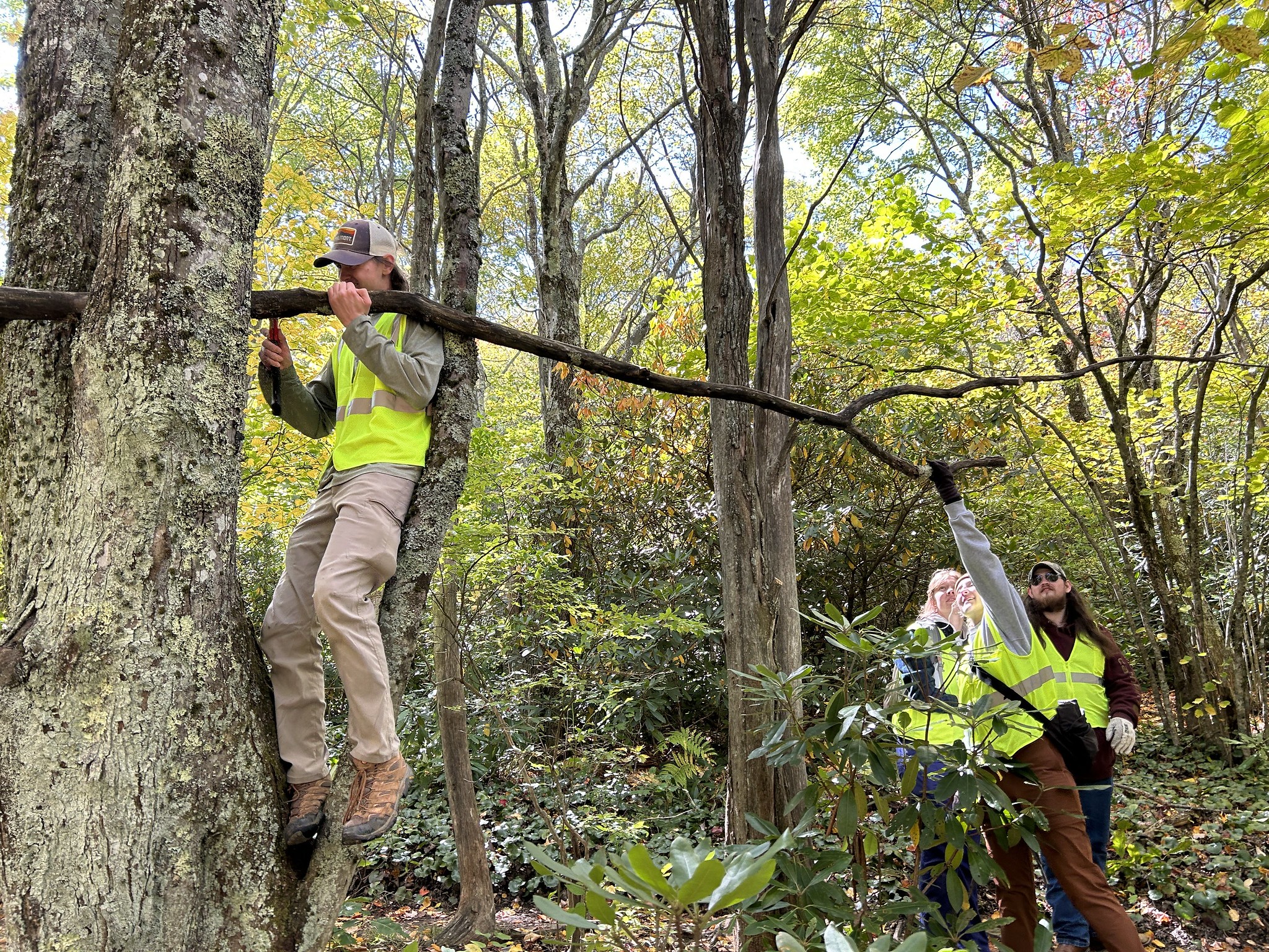 Appalachian State Students Embark on Hiking and Stewardship in Blue ...