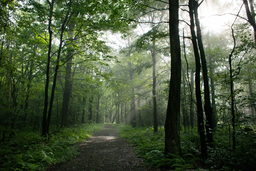 Haunting Trails and Eerie Tales: Exploring the Spooky Secrets of ...