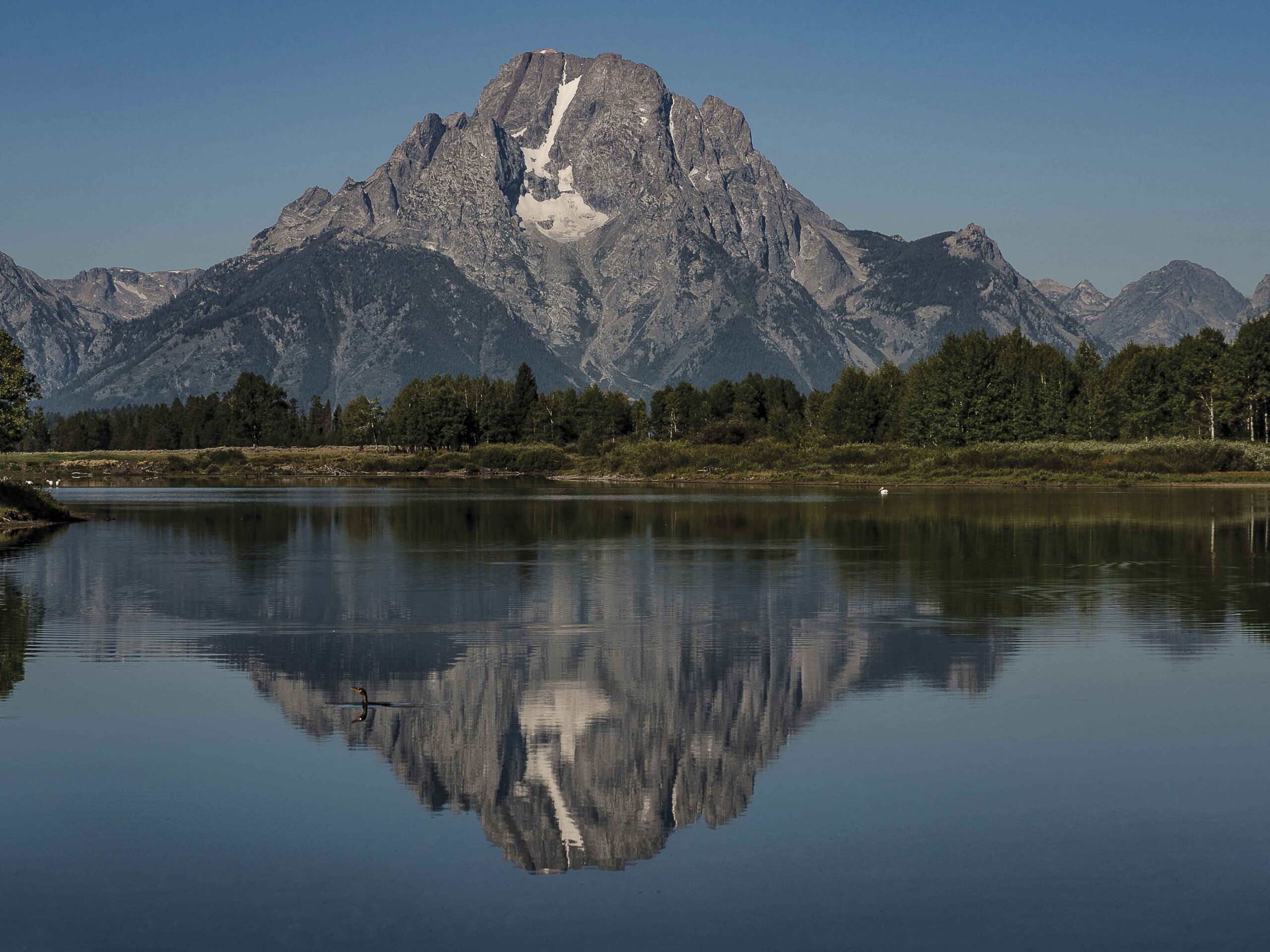 Small Steps, Big Impact: Celebrate Earth Day This Month - National Park ...