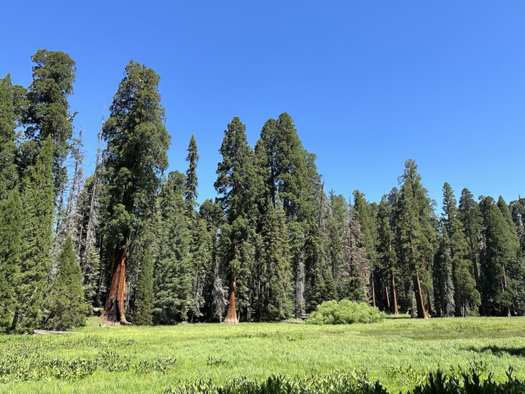 Park Preservation - National Park Trust