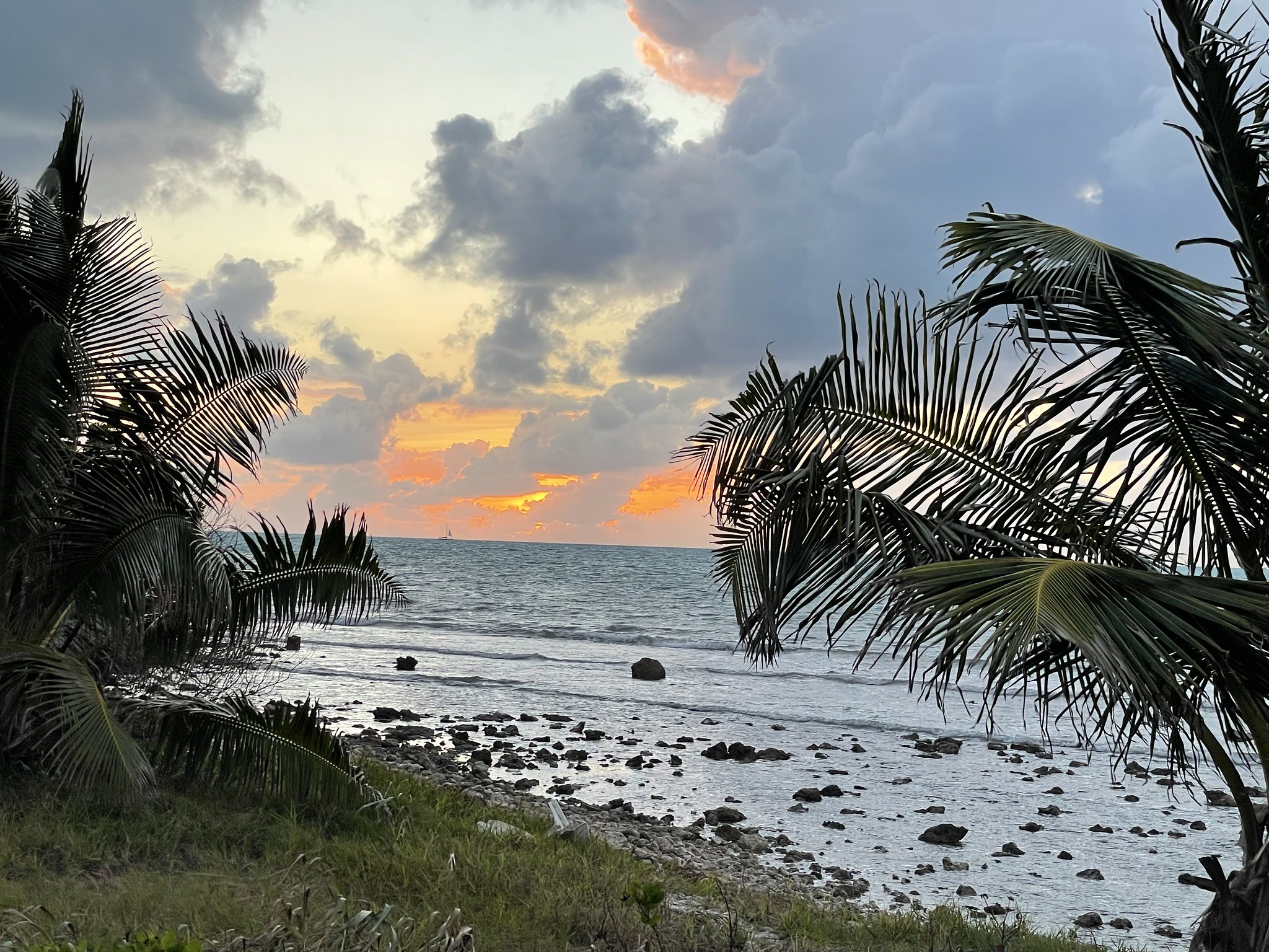 From Campfires to Coral Reefs: College Ambassadors’ Conservation ...