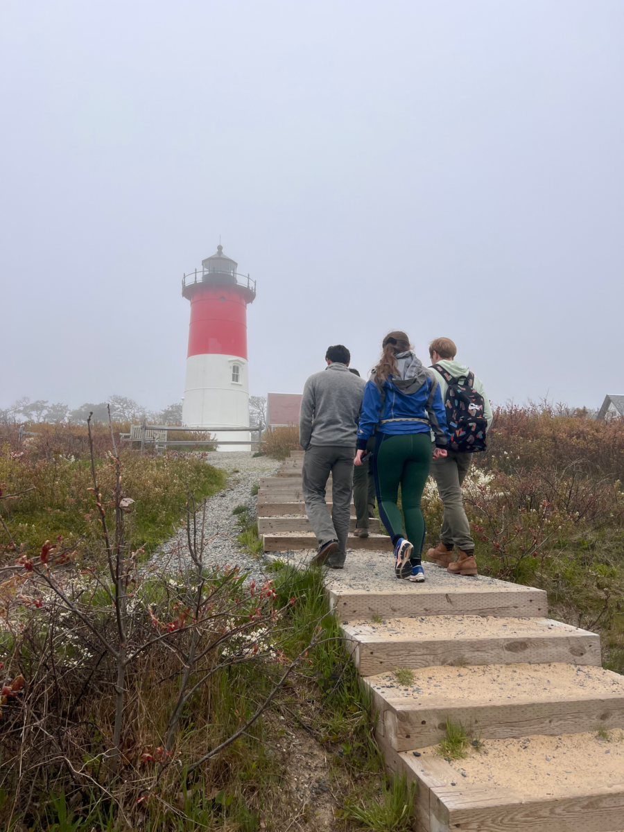 Beauty in the Mist: A Day at Cape Cod National Seashore - National Park ...