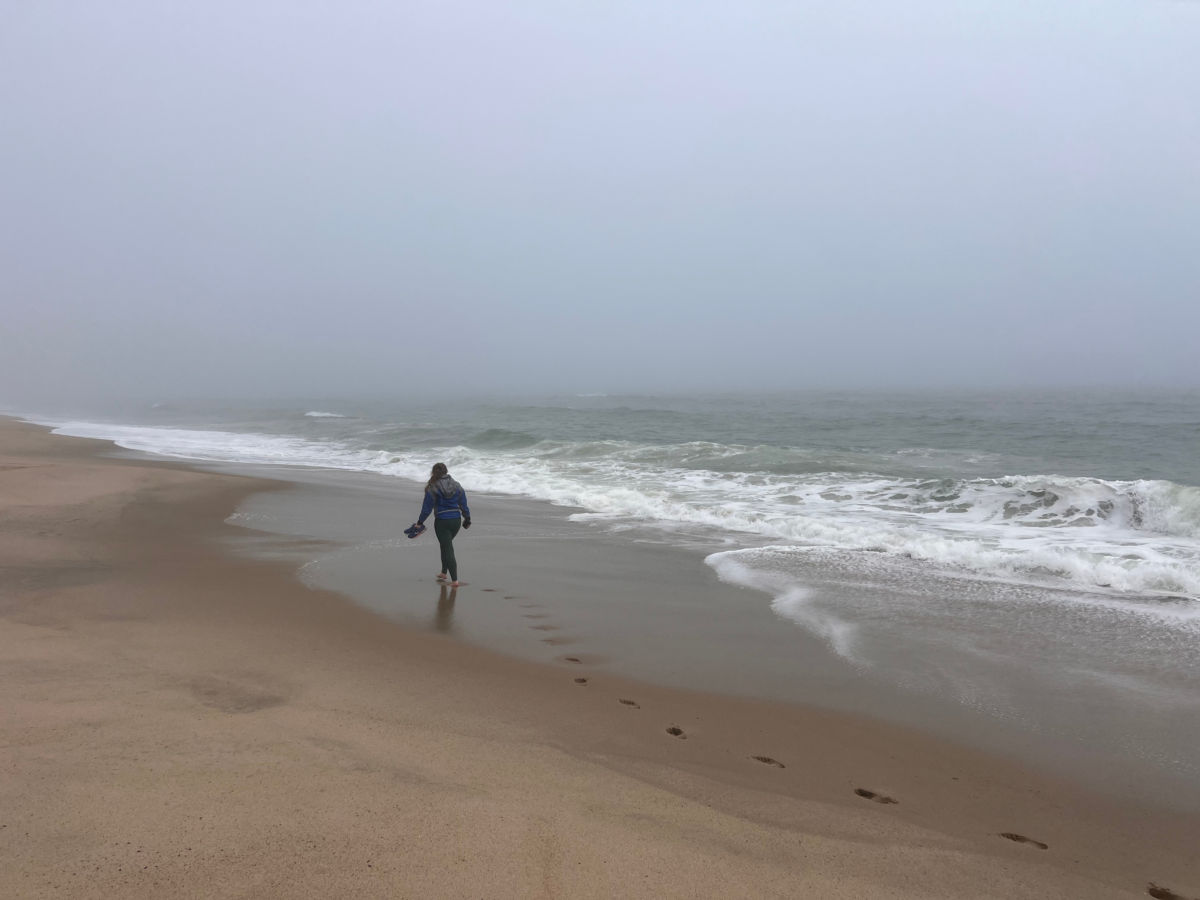 Beauty in the Mist: A Day at Cape Cod National Seashore - National Park ...