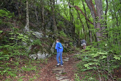 National Kids to Parks Day Twin Pinnacles Scavenger Hunt - National ...