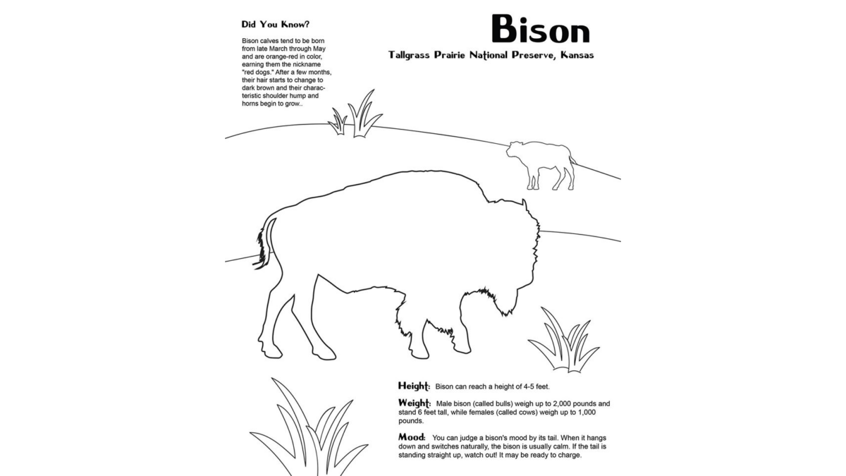 National Park Coloring Sheets - National Park Trust